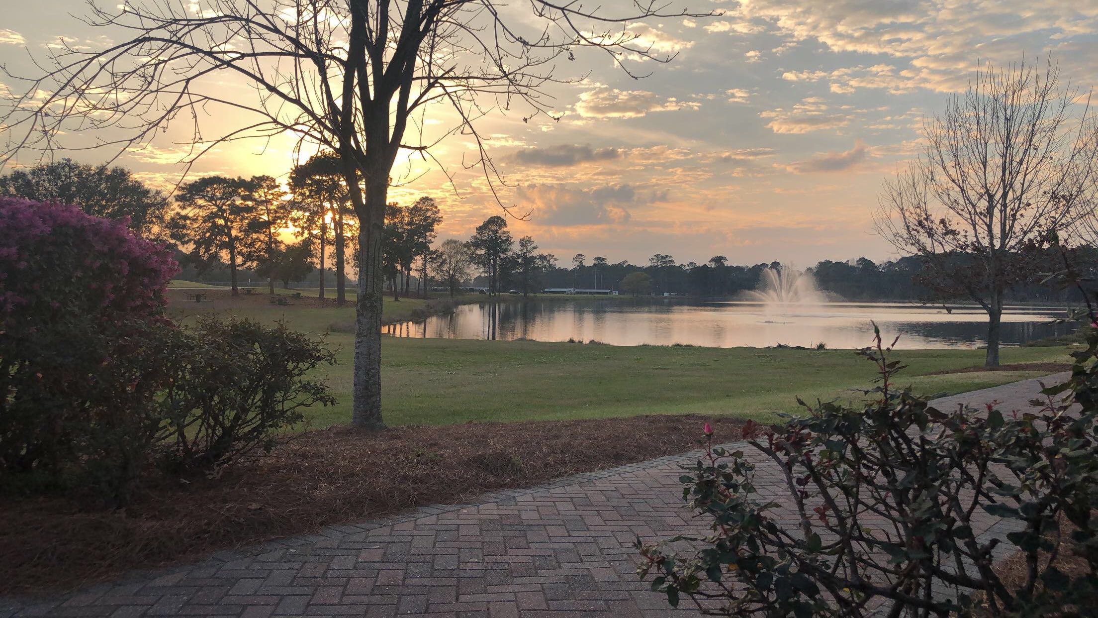 ABAC the Beautiful - The Stallion