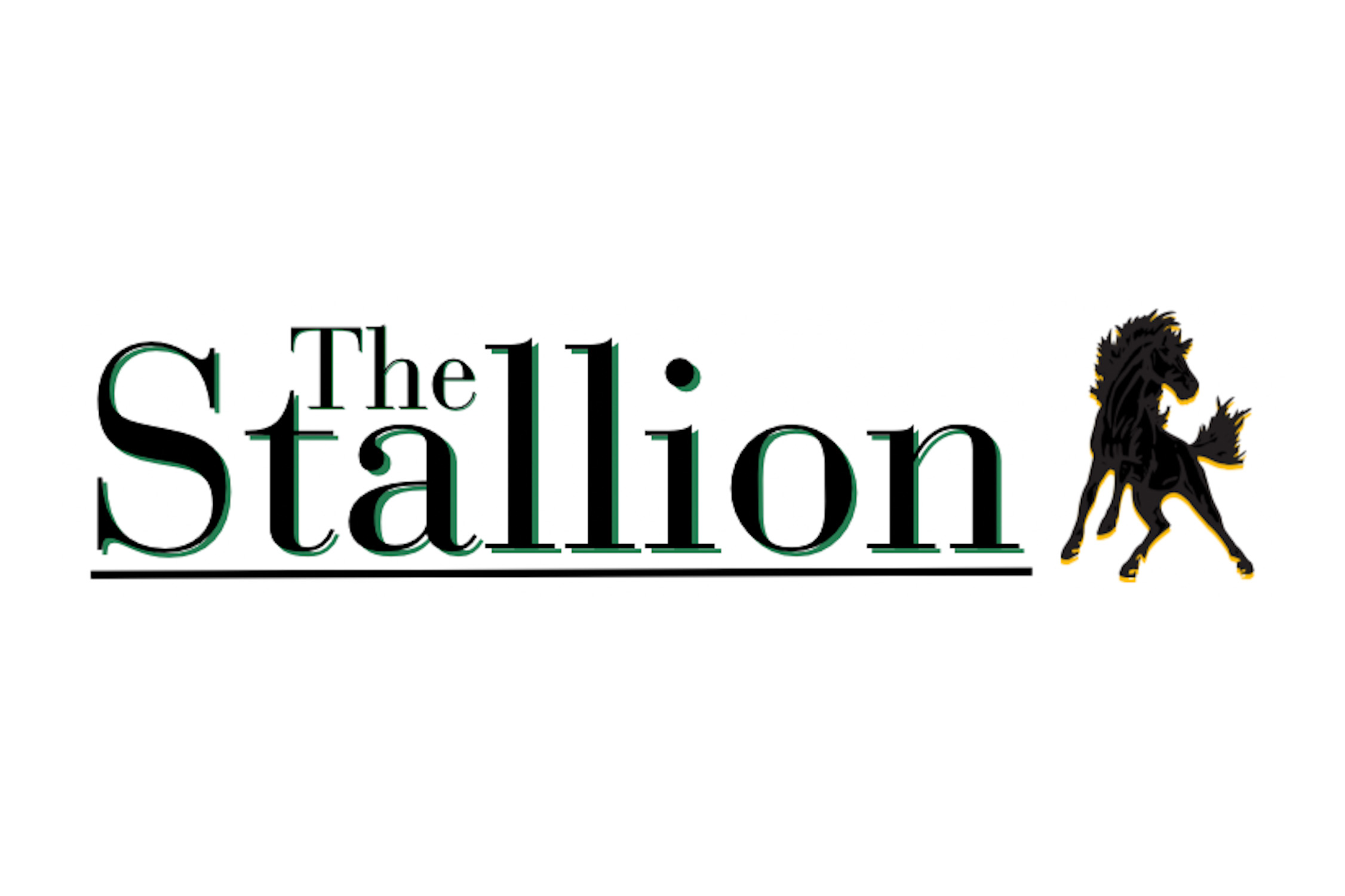 Home - The Stallion