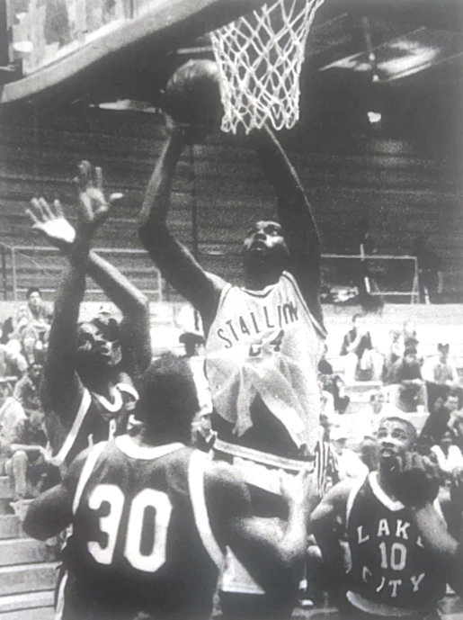 The Origin of All Things ABAC - The Stallion