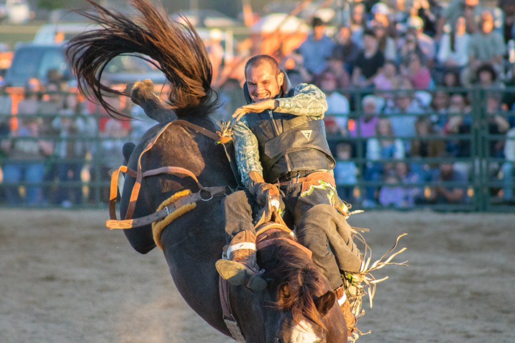 Bulls and Broncs Rodeo: A Bucking Good Time - The Stallion
